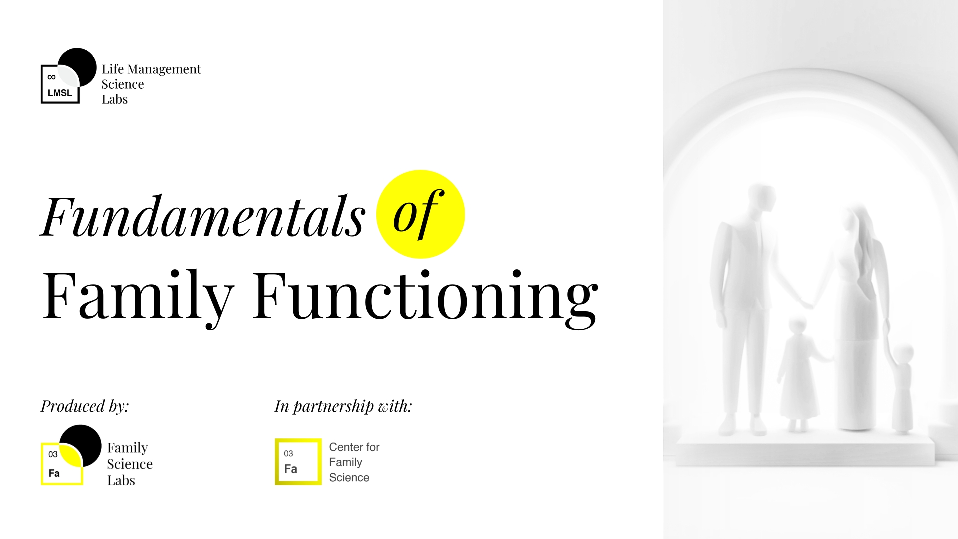 Fundamentals of Family Functioning - Life Management Science Labs